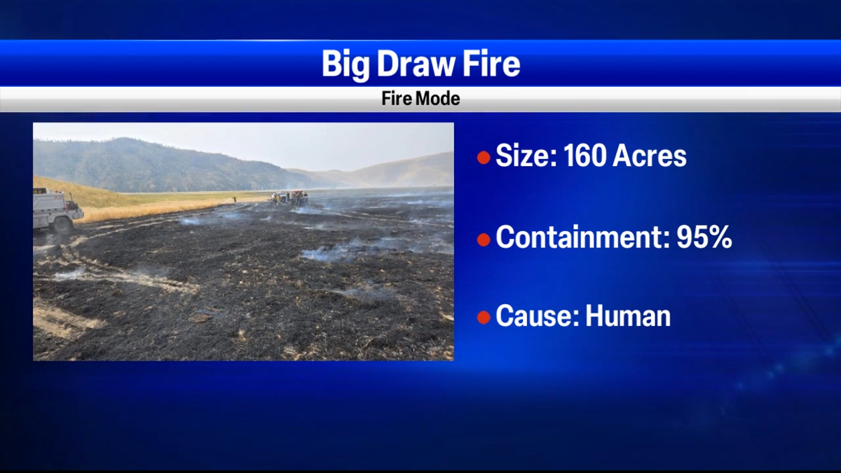 how to draw fire elmo