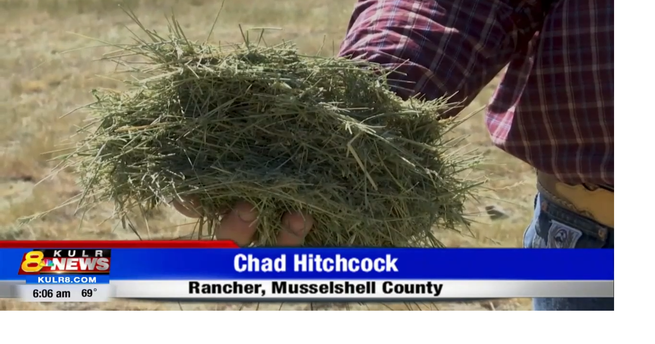 Hot, dry weather leading to hay shortage for rancher in Musselshell ...
