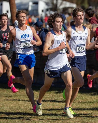 Montana State men's XC places 13th at national meet | Montana State ...