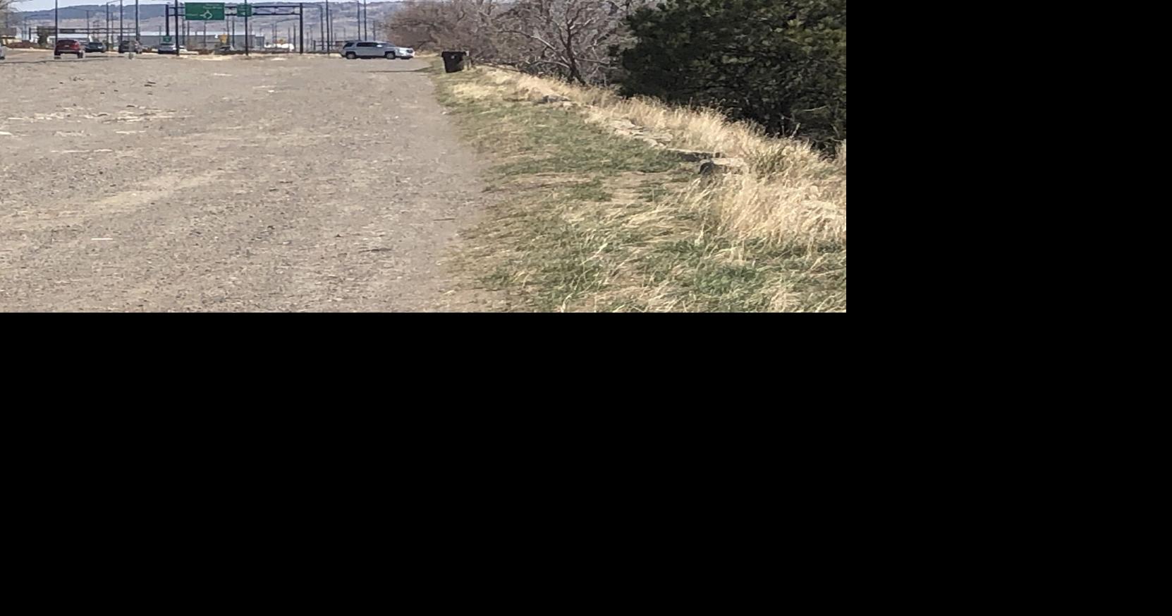 Billings police investigating early morning shooting on the Rims ...