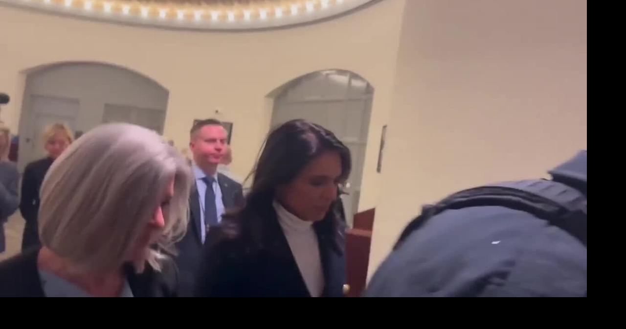 Officials urge closed-door Senate hearings on Tulsi Gabbard | | kulr8.com