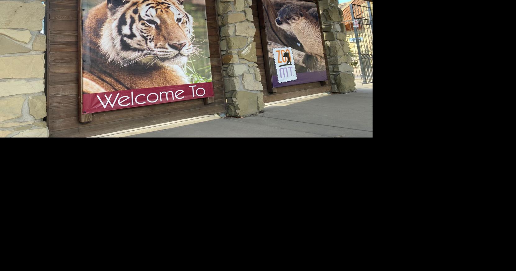 ZooMontana places in top 10 zoos in the United States | Billings News ...