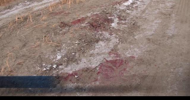 Sheriff: Media Attention Could Help Headless Body Case | Billings News ...