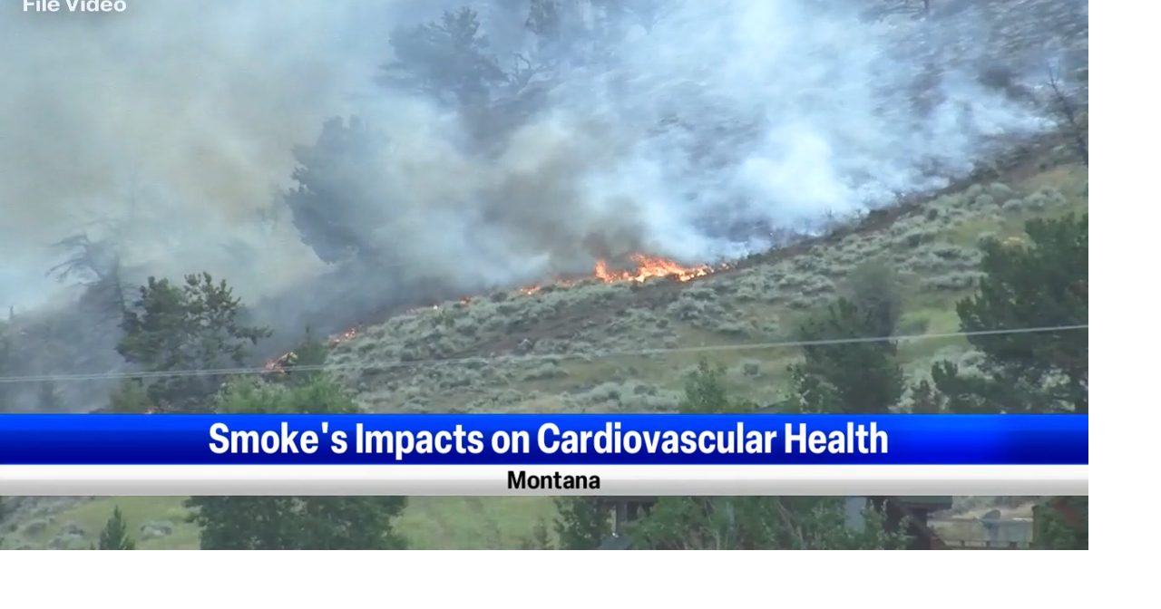 UM professor's research reveals how wildfire smoke can harm ...
