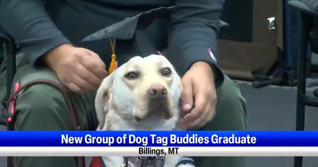Veterans in Montana graduate with service dogs from Dog Tag Buddies ...