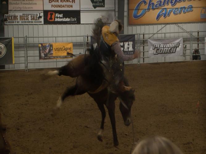Annual Pioneers Rodeo kicks off in Miles City | Billings News | kulr8.com