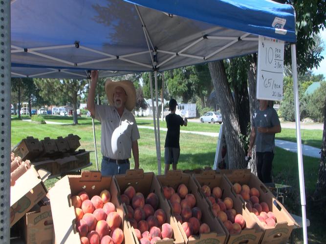 Joliet man hand delivers Palisade Peaches to Montana | Billings News ...