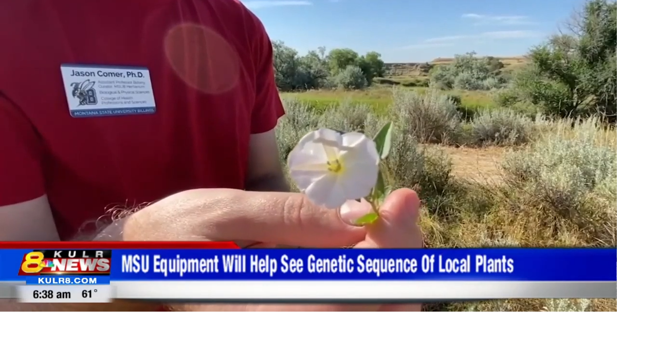 MSUB gets equipment to study genetic sequence of local plants ...