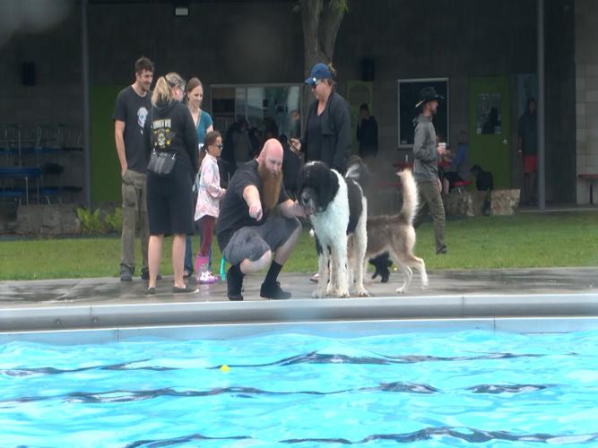 Rose Park Pool celebrates the Dog Days of Summer | Billings News ...