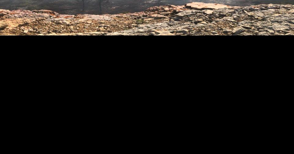 Buffalo Pasture Fire 65% contained | Billings News | kulr8.com