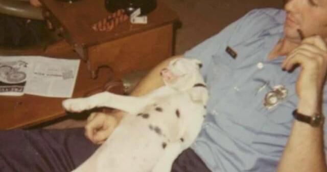 Della Mae the Not-So-Great Fire Dog | Billings News | kulr8.com