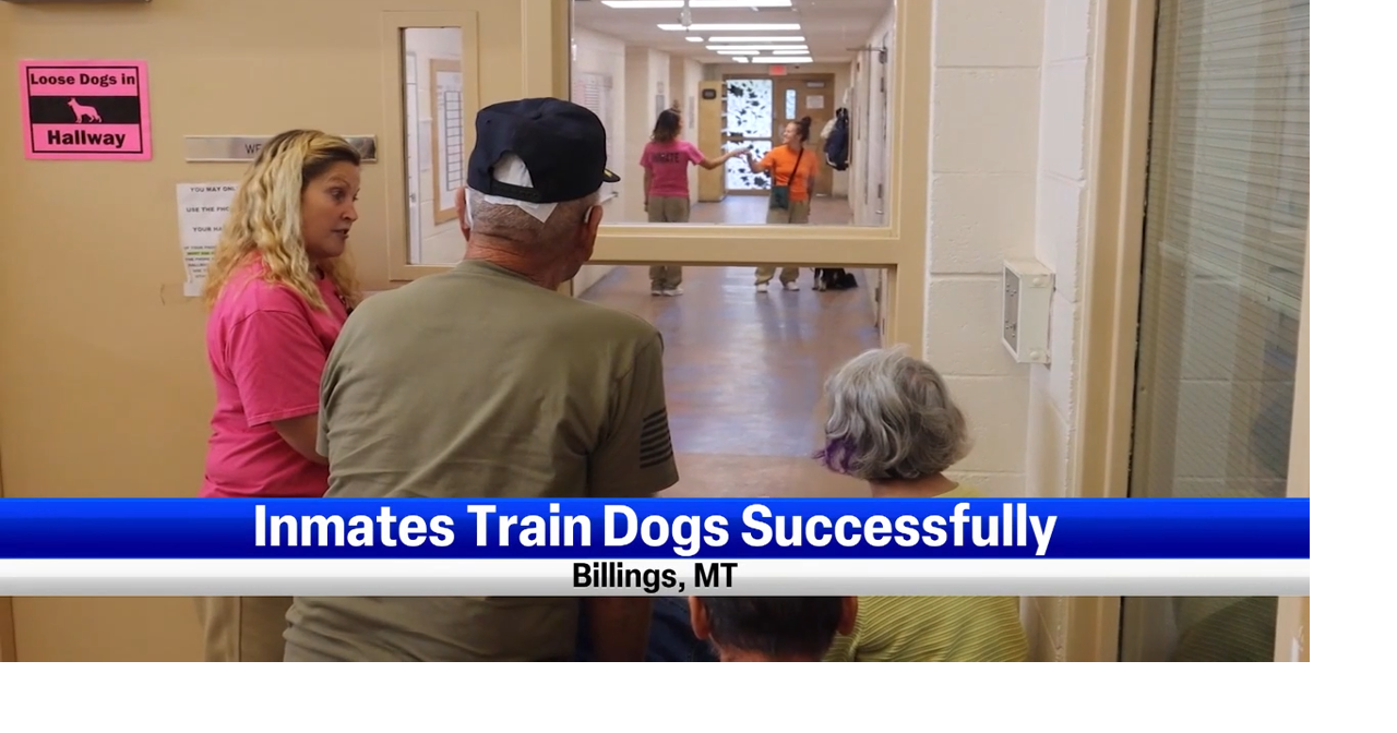 Empowering inmates and saving dogs: Prison Paws program impact ...