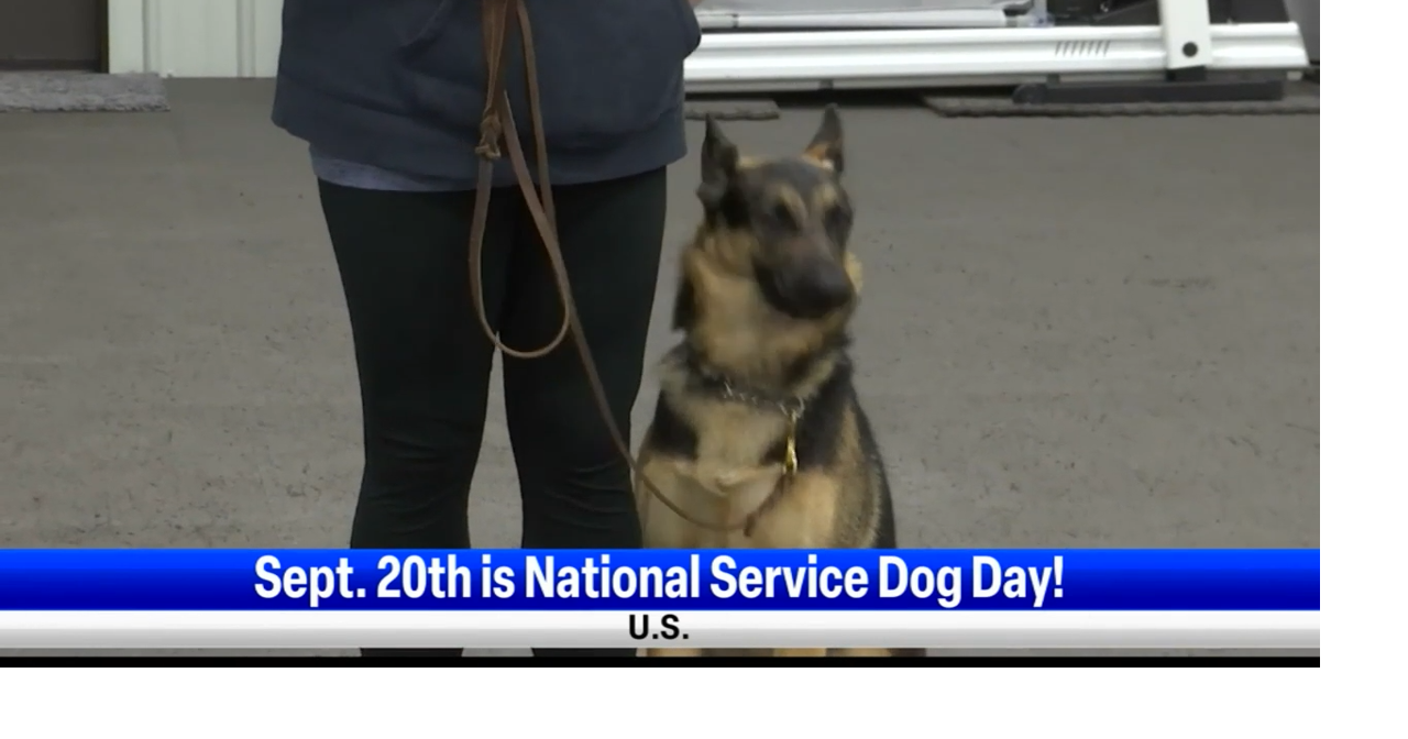 September 20 is the first National Service Dog Day thanks to Montana's ...