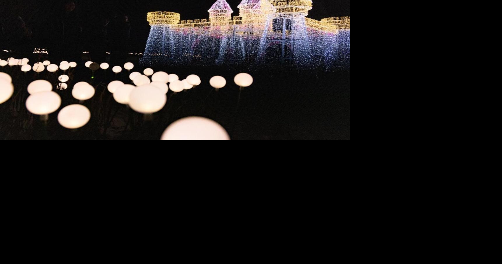 Holiday-Nights at ZooMontana nominated for best zoo lights in country ...