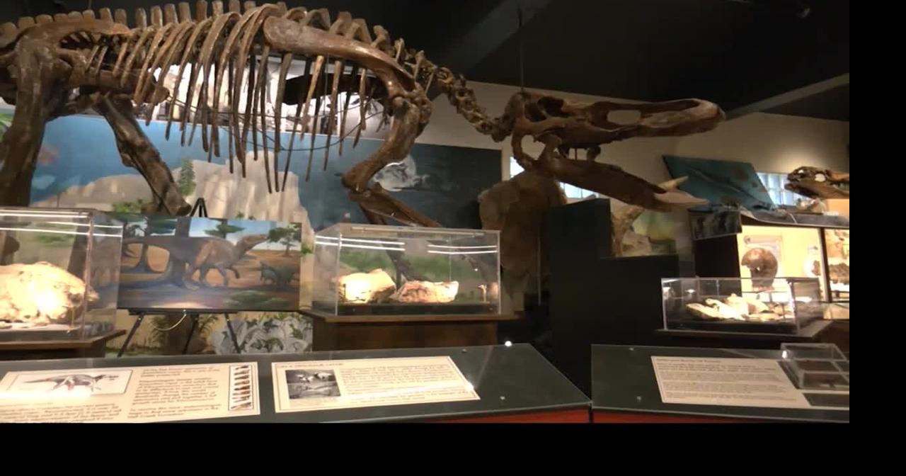 Carter County Museum in Ekalaka showcases dinosaur fossils & Native ...