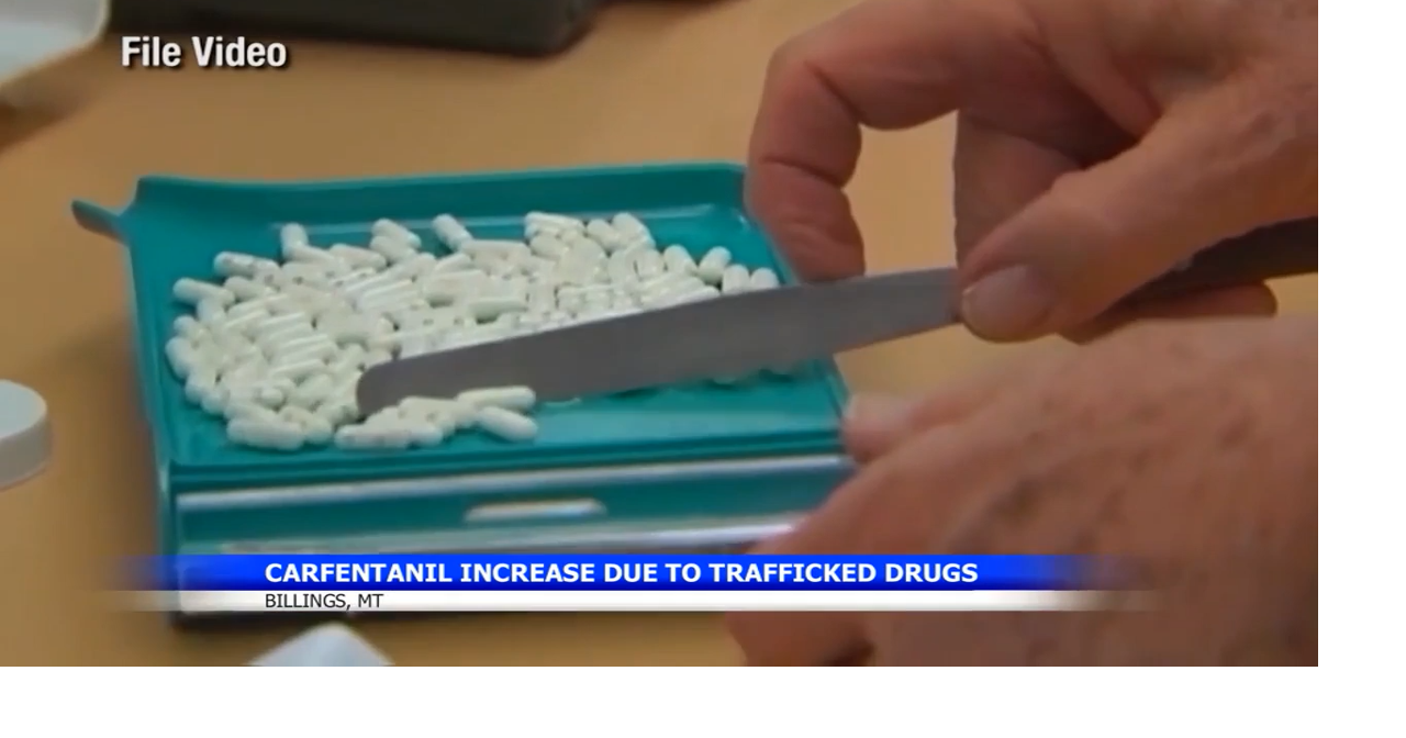 Billings sees rise in carfentanil and fentanyl drug seizures | Billings ...
