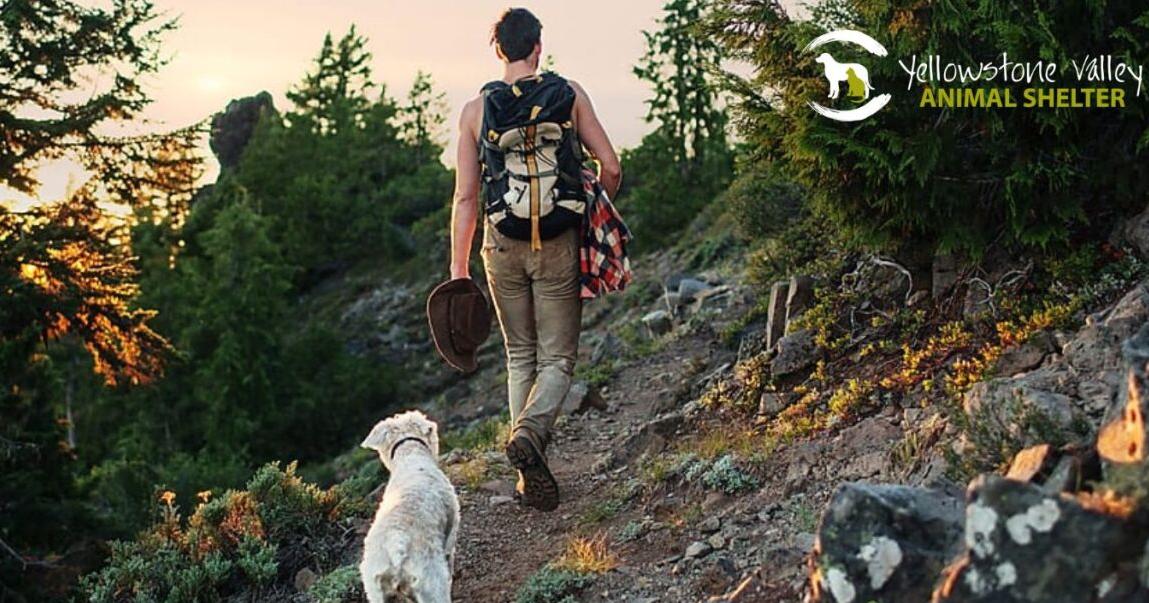 Yellowstone Valley Animal Shelter "Hiking Hounds" lets volunteers take ...