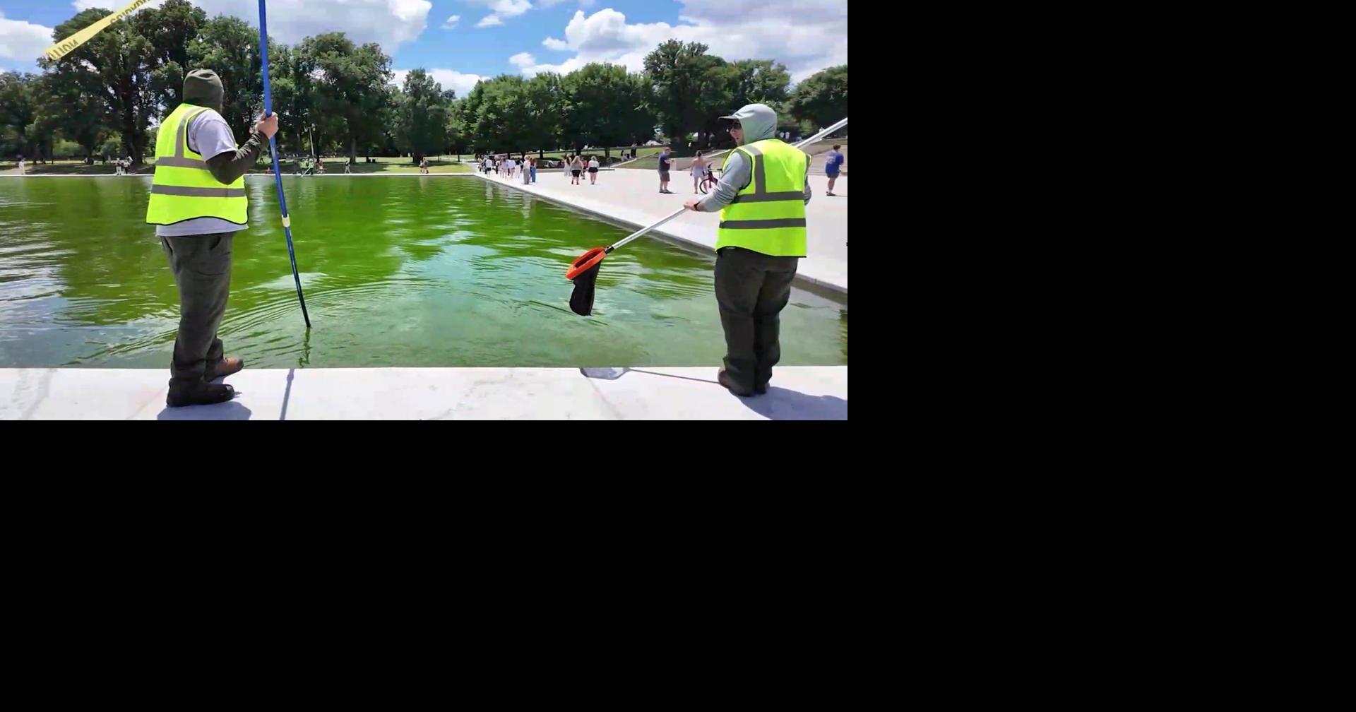 Reflecting Pool liner was cut with a sharp knife or razor, National ...