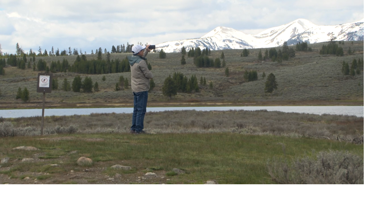 Summer tourism season begins at Yellowstone National Park | Billings ...