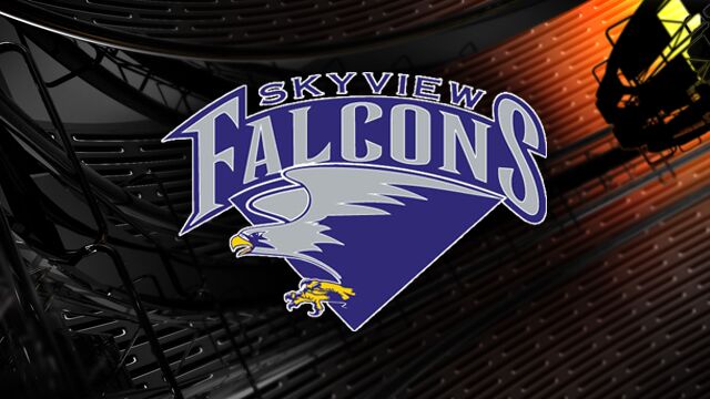 Skyview Logo