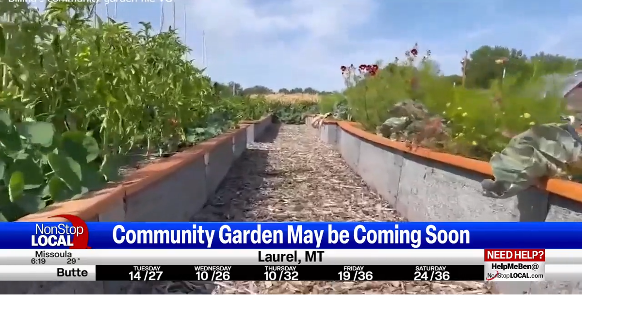 Laurel community garden proposal sparks interest in local nutrition ...