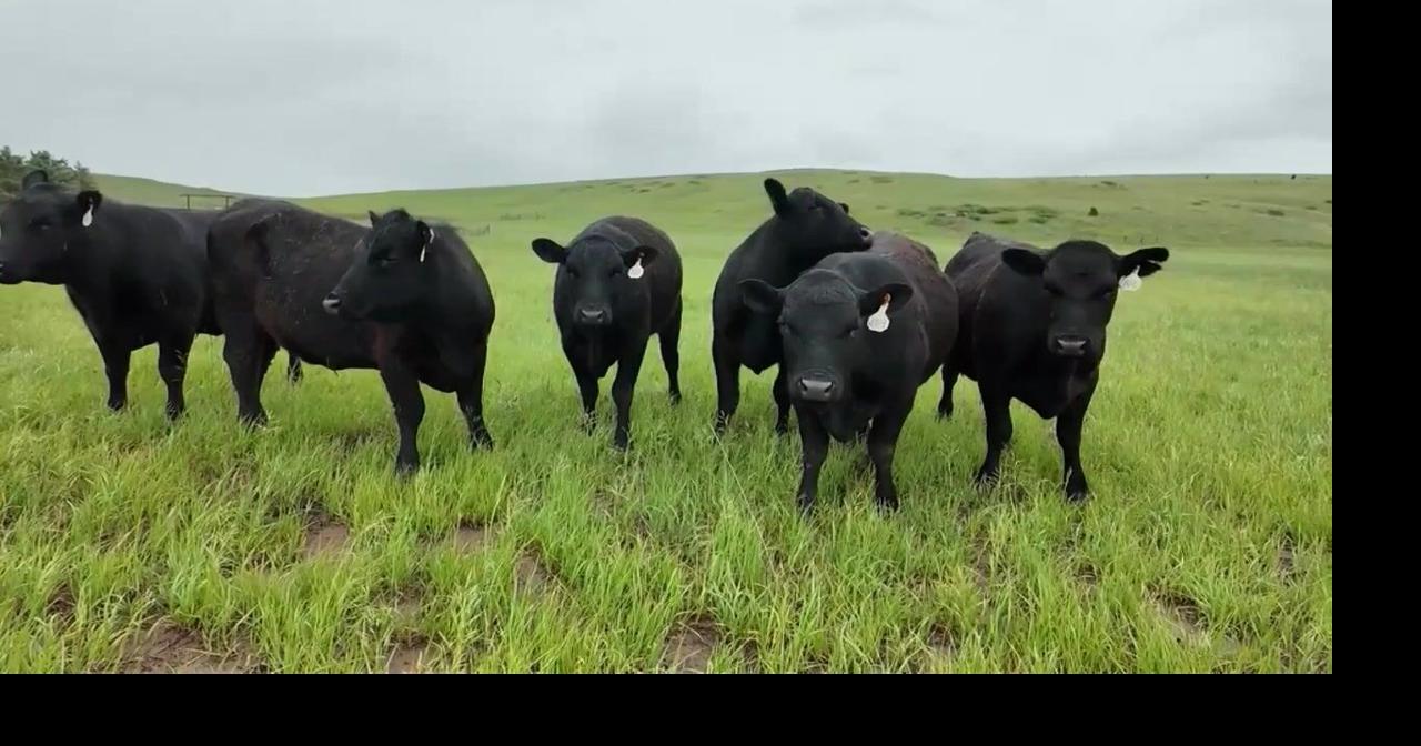 Farm & Ranch Report: Agricultural meteorology this summer | AG Report ...