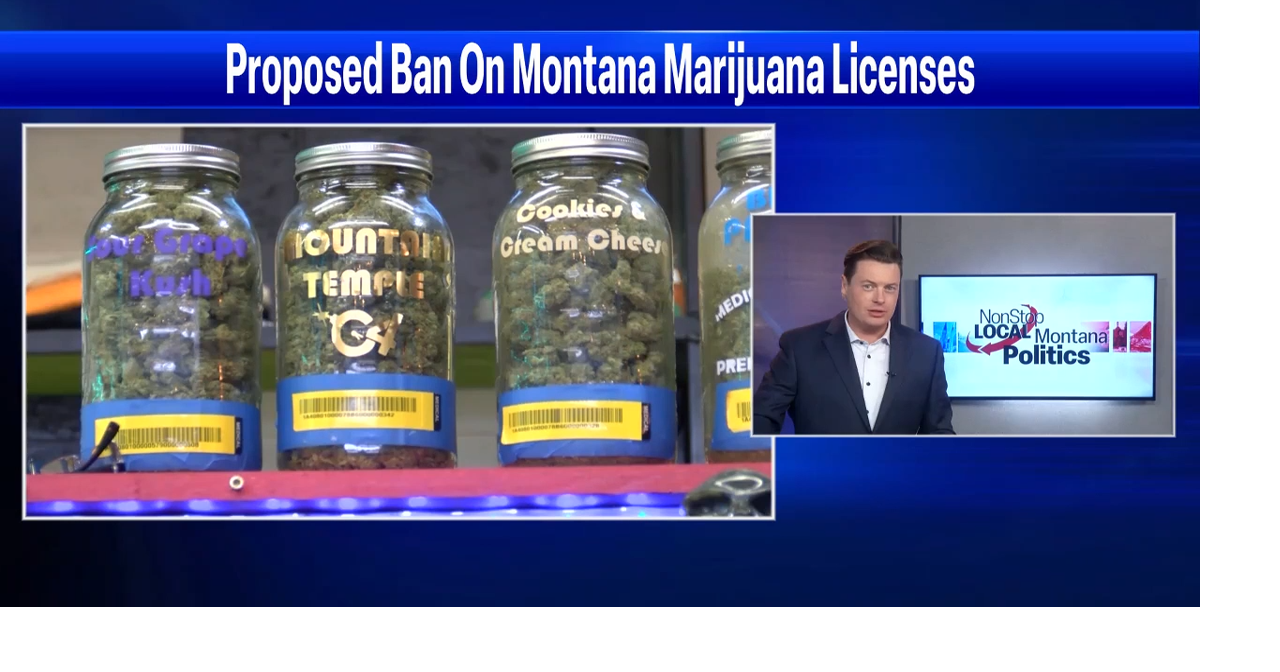 Ban proposed on Montana Marijuana licenses | Montana Politics | kulr8.com