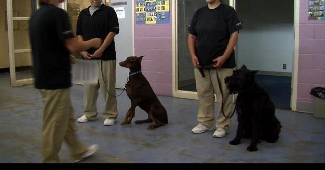 Prison Paws for Humanity's Unique Program | Billings News | kulr8.com