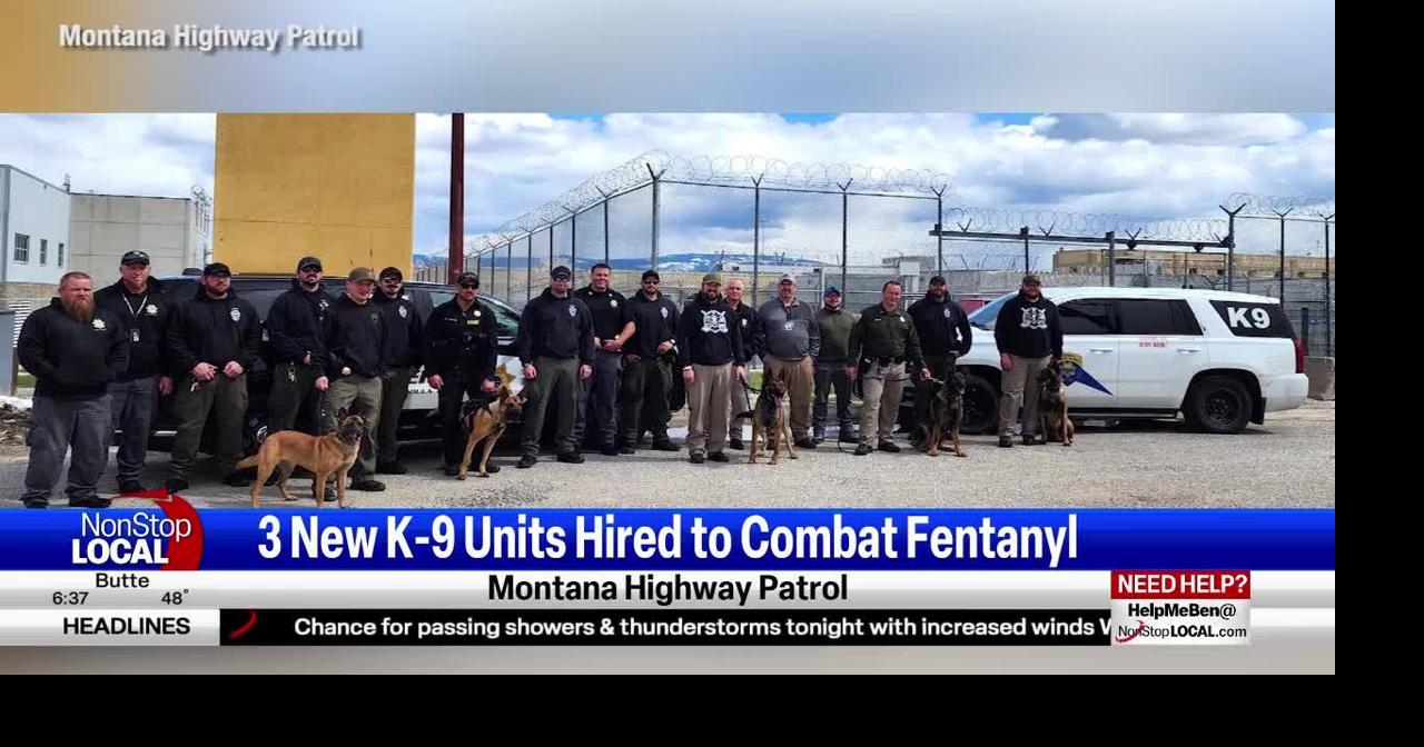 Three new K-9 units hired to combat fentanyl | Montana News | kulr8.com