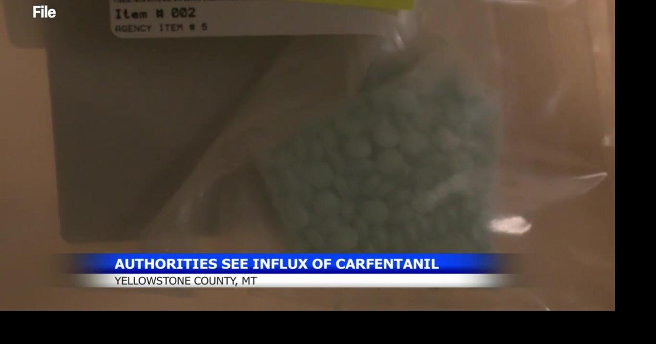 Authorities warn public of rising carfentanil threat in Yellowstone ...