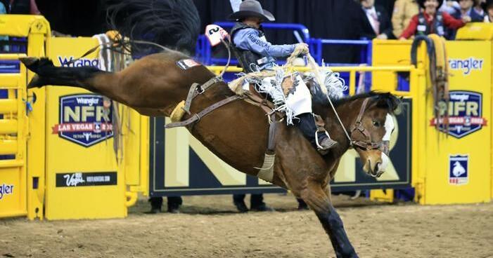 Sage Newman #6, Haven Meged #10 as NFR Back Numbers are revealed ...