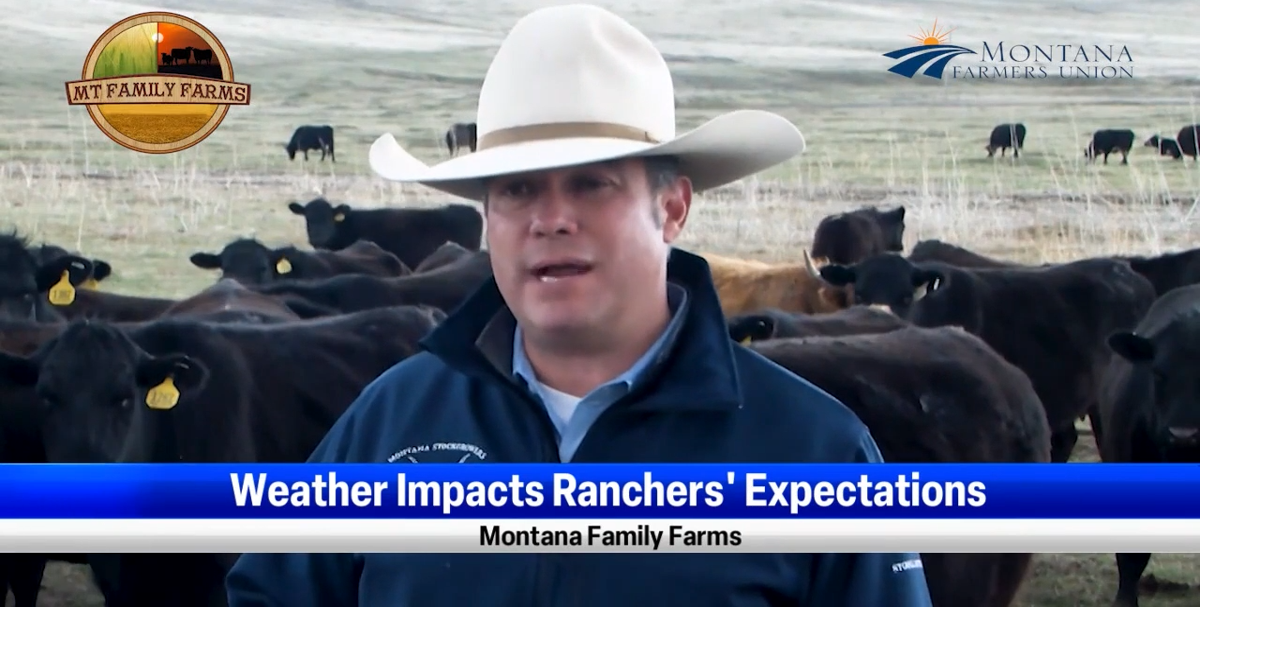 Montana's farmers can be impacted by the ever-changing weather | Mt ...