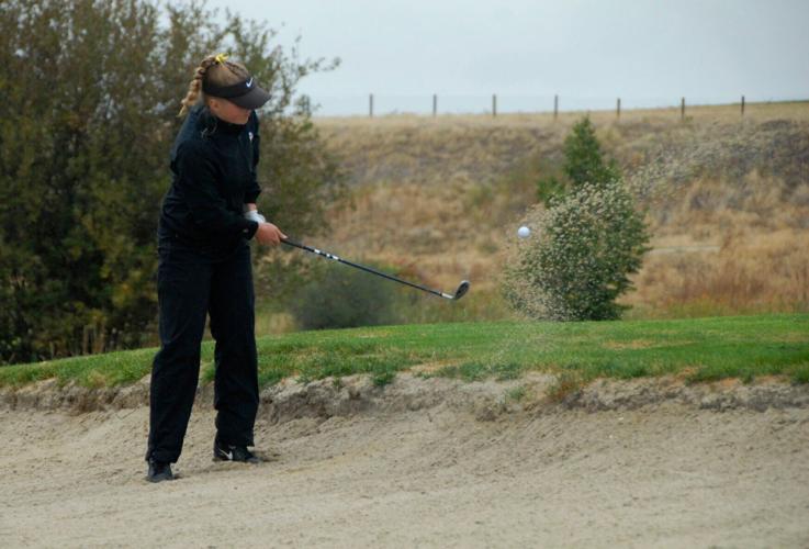 Guide to the 2023 Class A golf tournaments | High School | kulr8.com