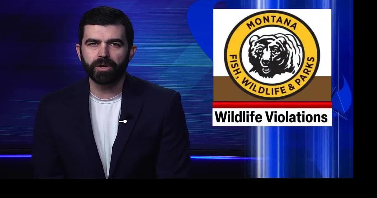 Montana men plead guilty to fish and wildlife violations | | kulr8.com