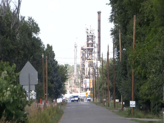 Lockwood mountain lion update, precautions for wildlife interactions ...