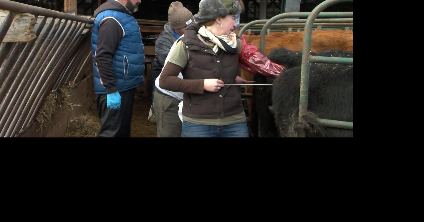 Class Taught In Billings Teaches Strengthening Quality Of Beef
