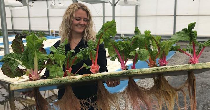 Family owned, "Swanky Roots" brings sustainable, year round agriculture ...