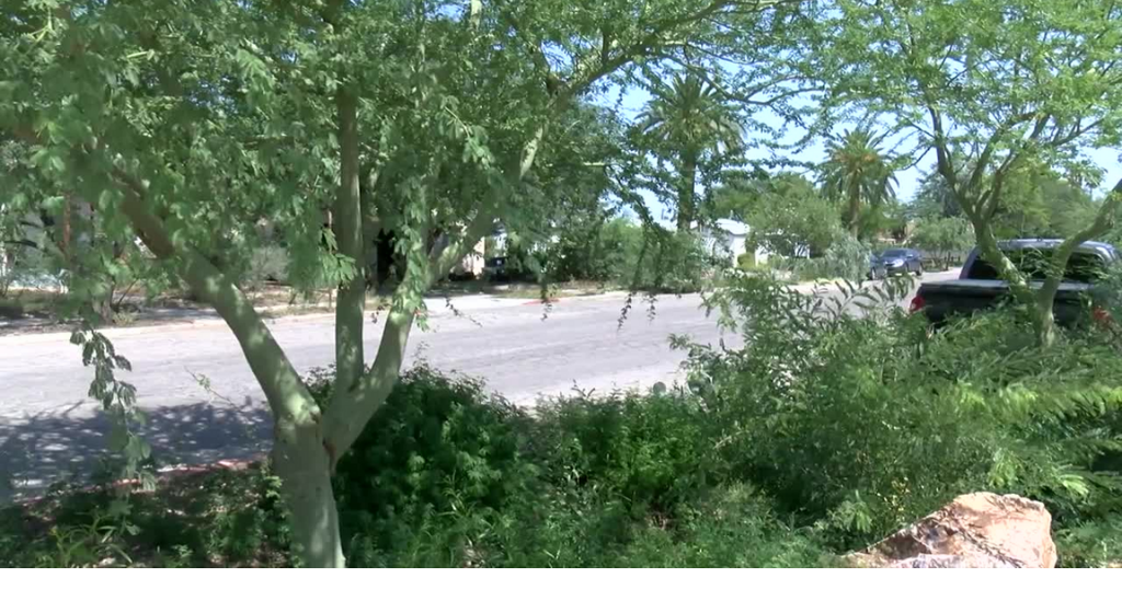 Pima County to increase water availability with stormwater | Local News ...