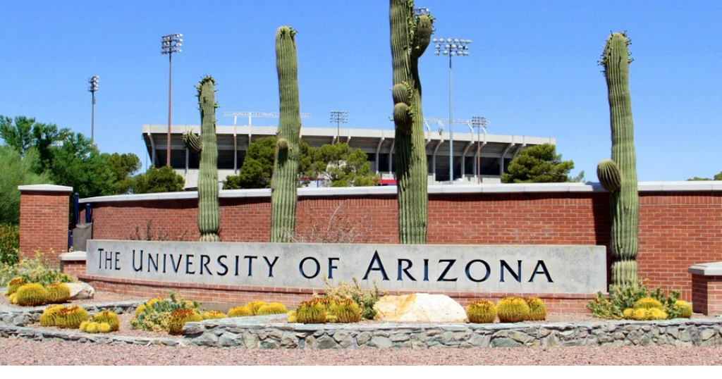 University of Arizona Eller College of Management announces Eller CIO ...