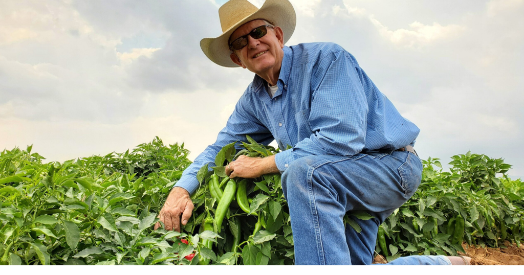 It’s Hatch Chile Season! Local farmer dedicates his life to the science ...