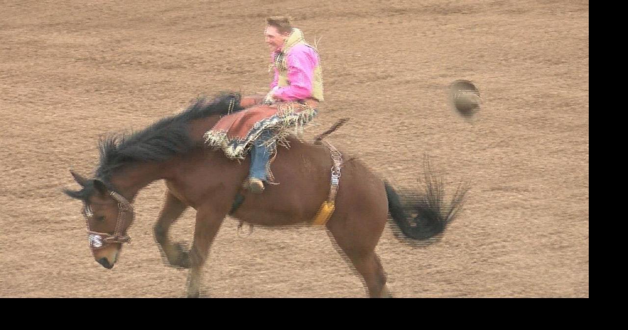 Tucson Rodeo addresses allegations of animal abuse | News | kvoa.com