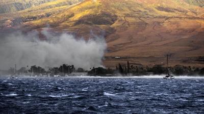 How to help those impacted by the Maui fires | Computer Science | kvoa.com