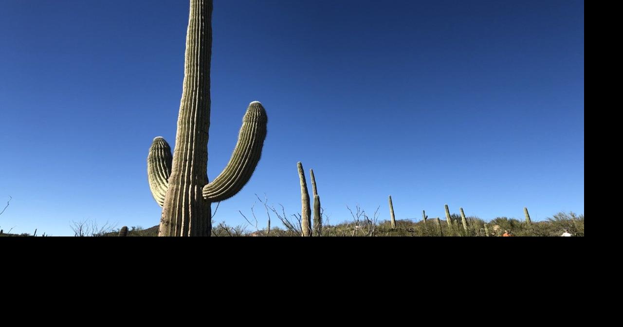CLIMATE MATTERS: Expanding Sonoran desert | Climate Matters | kvoa.com