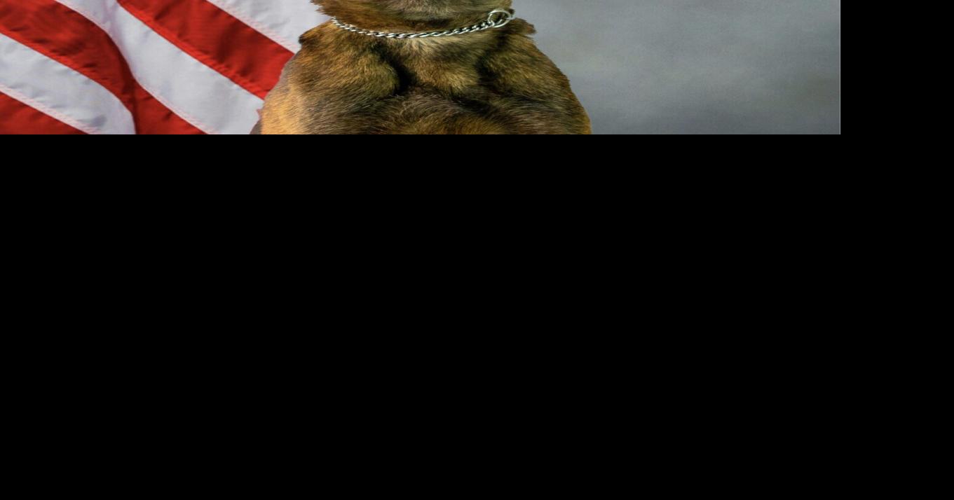 PCSD K9 "Kenzo" dies after sustaining injuries on the job | Police ...