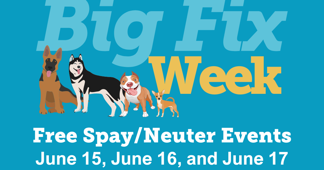 Friends of PACC host free spay/neuter events for dogs this weekend ...