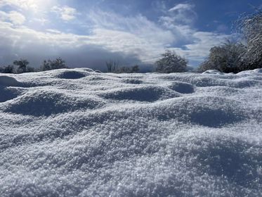 Viewers share their snow day photos | Local News | kvoa.com