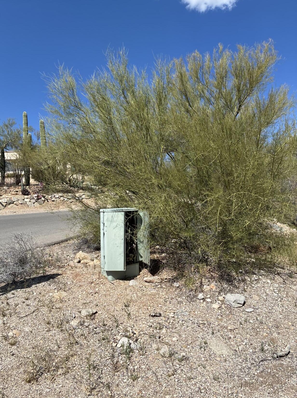 PCSD aware of utility box damage near Nancy Guthrie's home | The ...