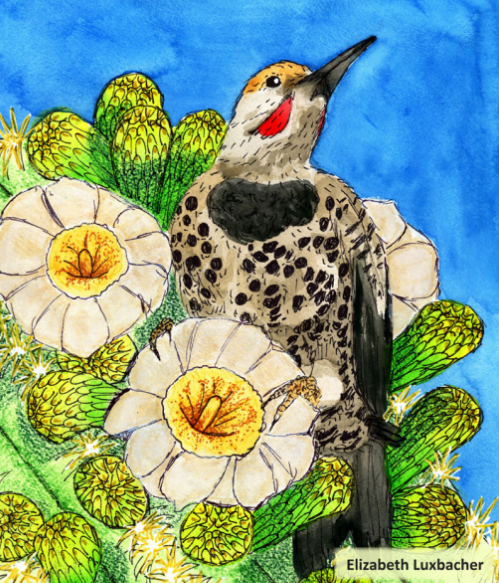 Young Tucson artists invited to participate in local-inspired art ...