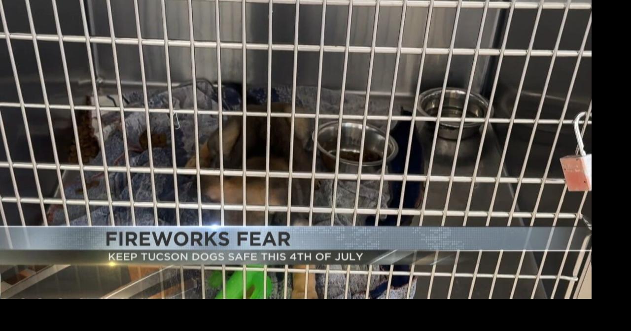 Keep Tucson dogs safe this 4th of July | Video | kvoa.com