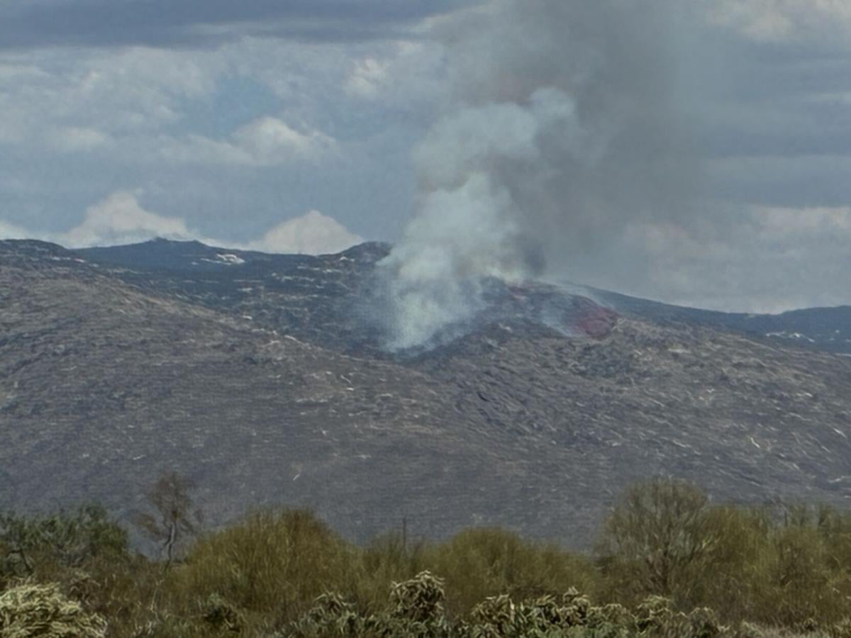 Forward progress stopped on Box Fire burning in Rincon Mountains ...